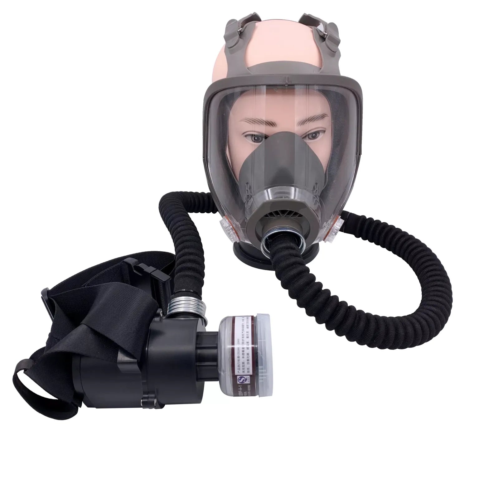 Electric Constant Flow Air Fed Respirator: Full Face Gas Mask for Spra ...